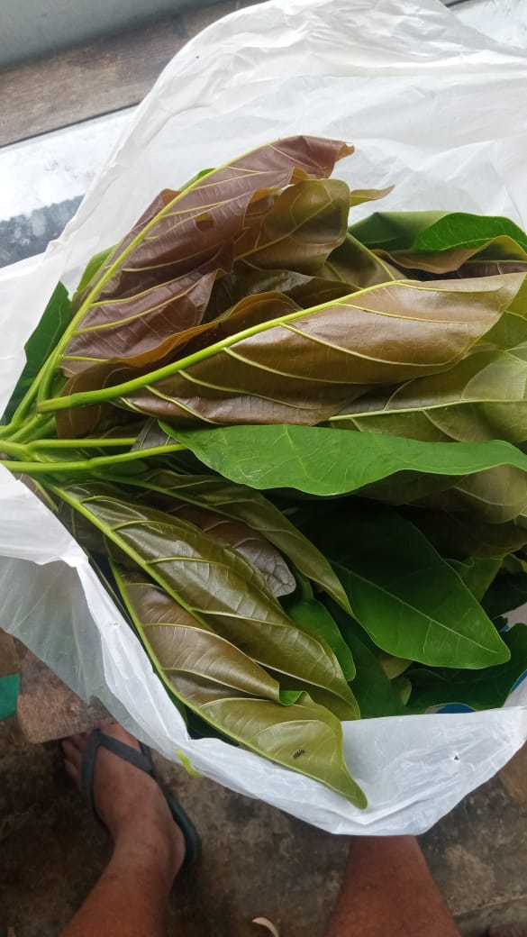 Rujak Dulit dan Wedang Cor di Food Festival ala Pandalungan Jember ...